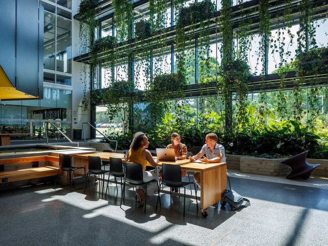 James Cook University Australia | Courses and Free Support