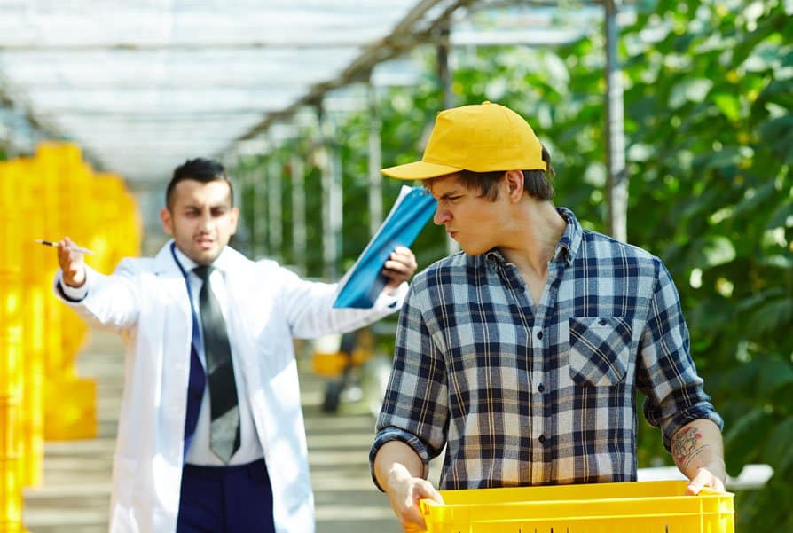 Farm Work en Australia: guía para alargar tu Work and Holiday