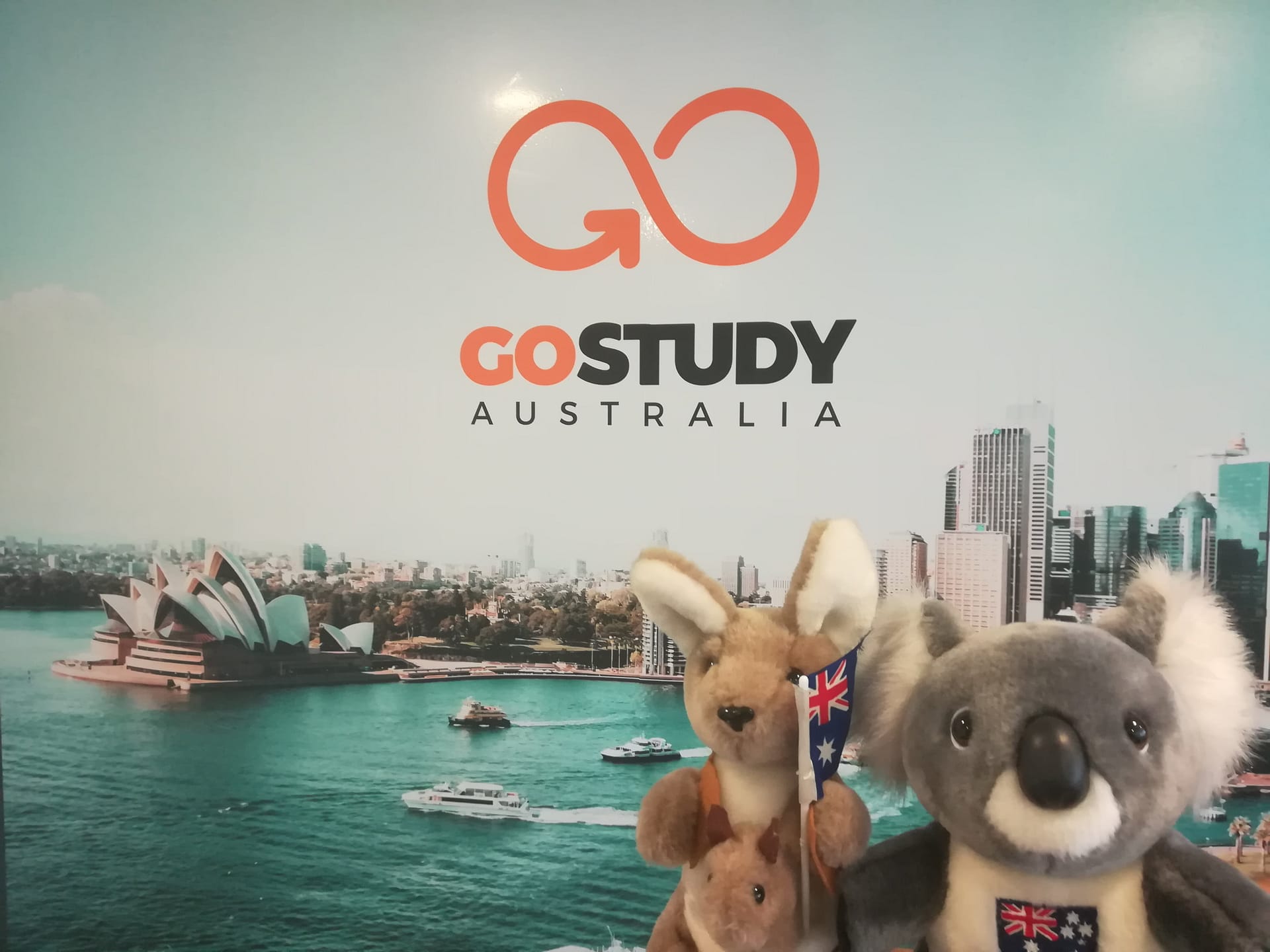 Go Study Australia estrena oficinas nuevas en España - Go Study Australia