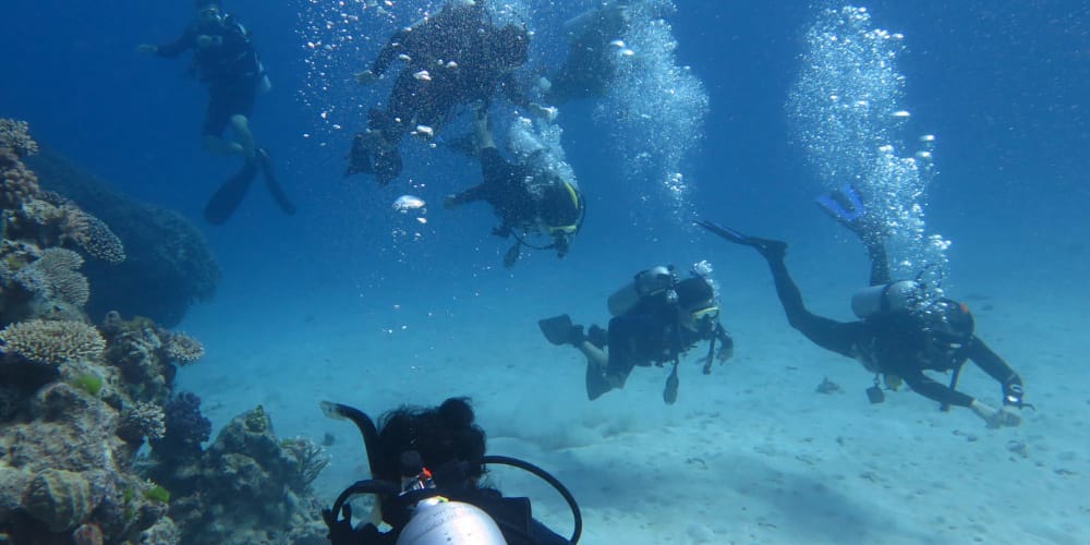 Go Study | Take a Scuba Diver course in Australia!
